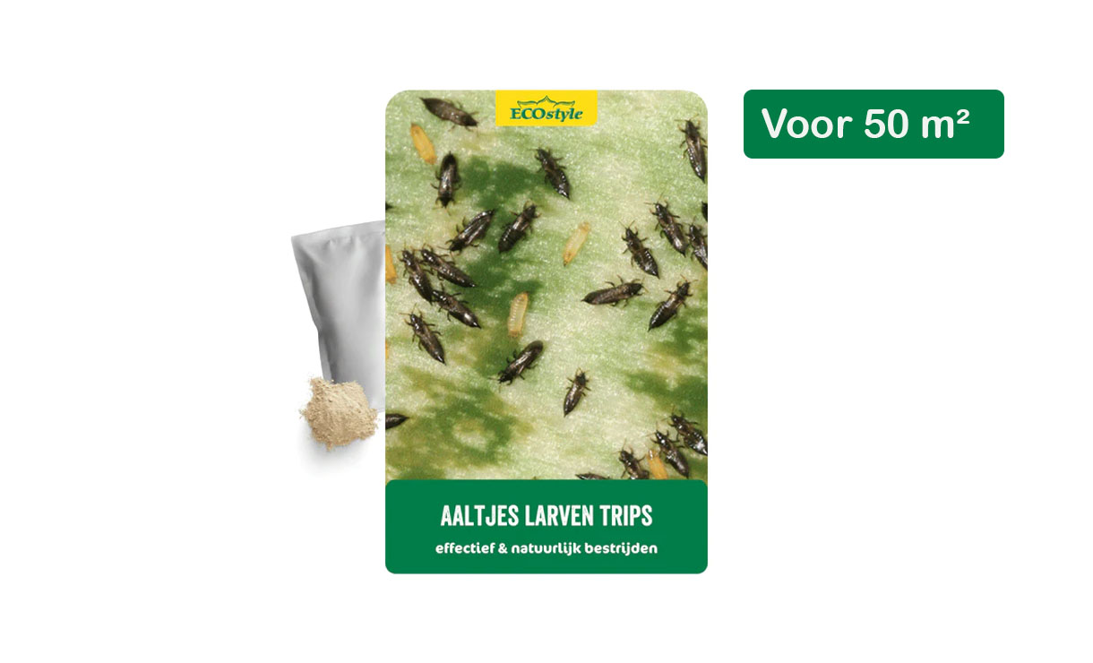 Larven trips bestrijden? ECOstyle aaltjes voor 50 m² - Gras en Groen